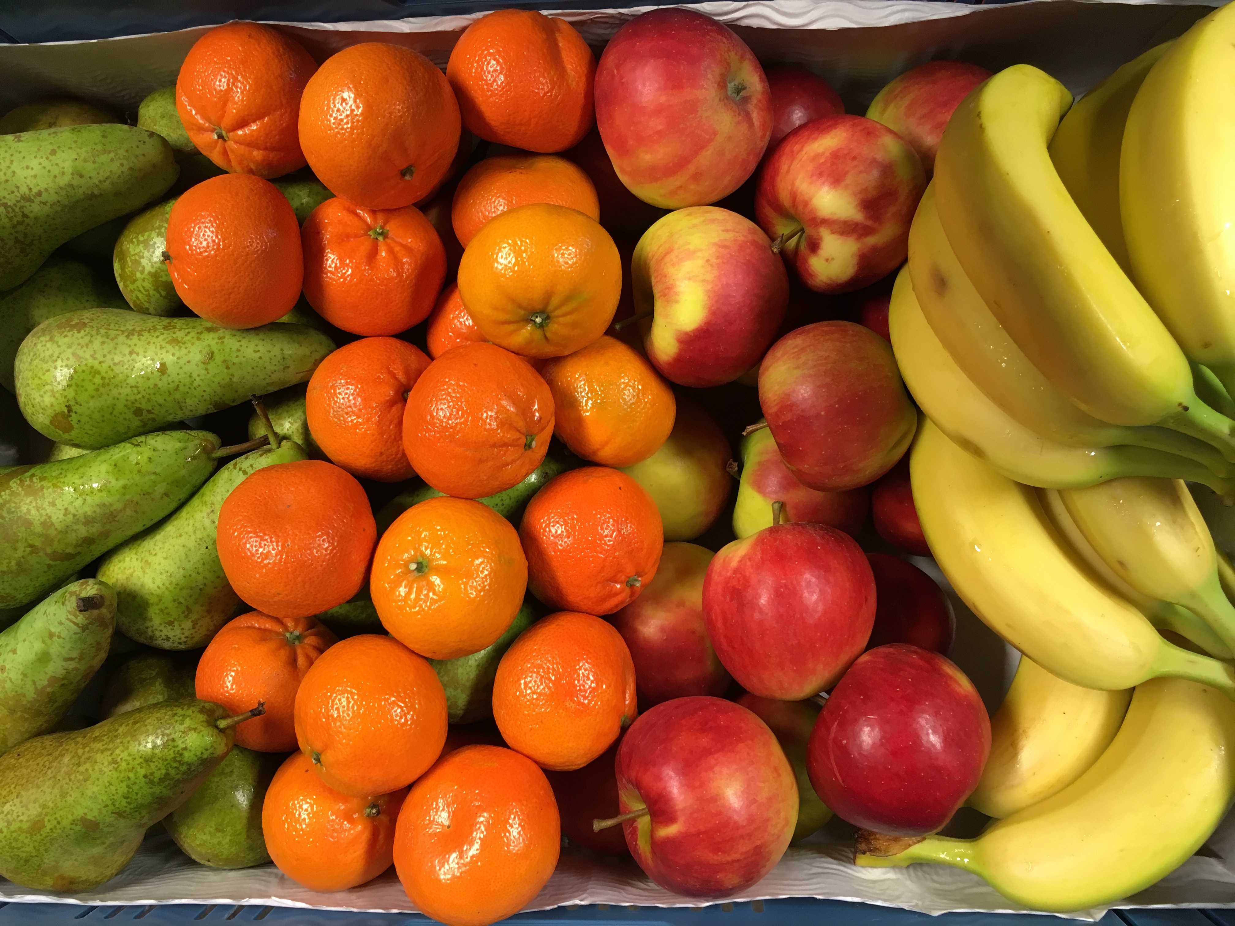 Oudebosch Fruit | Specialist in vers fruit