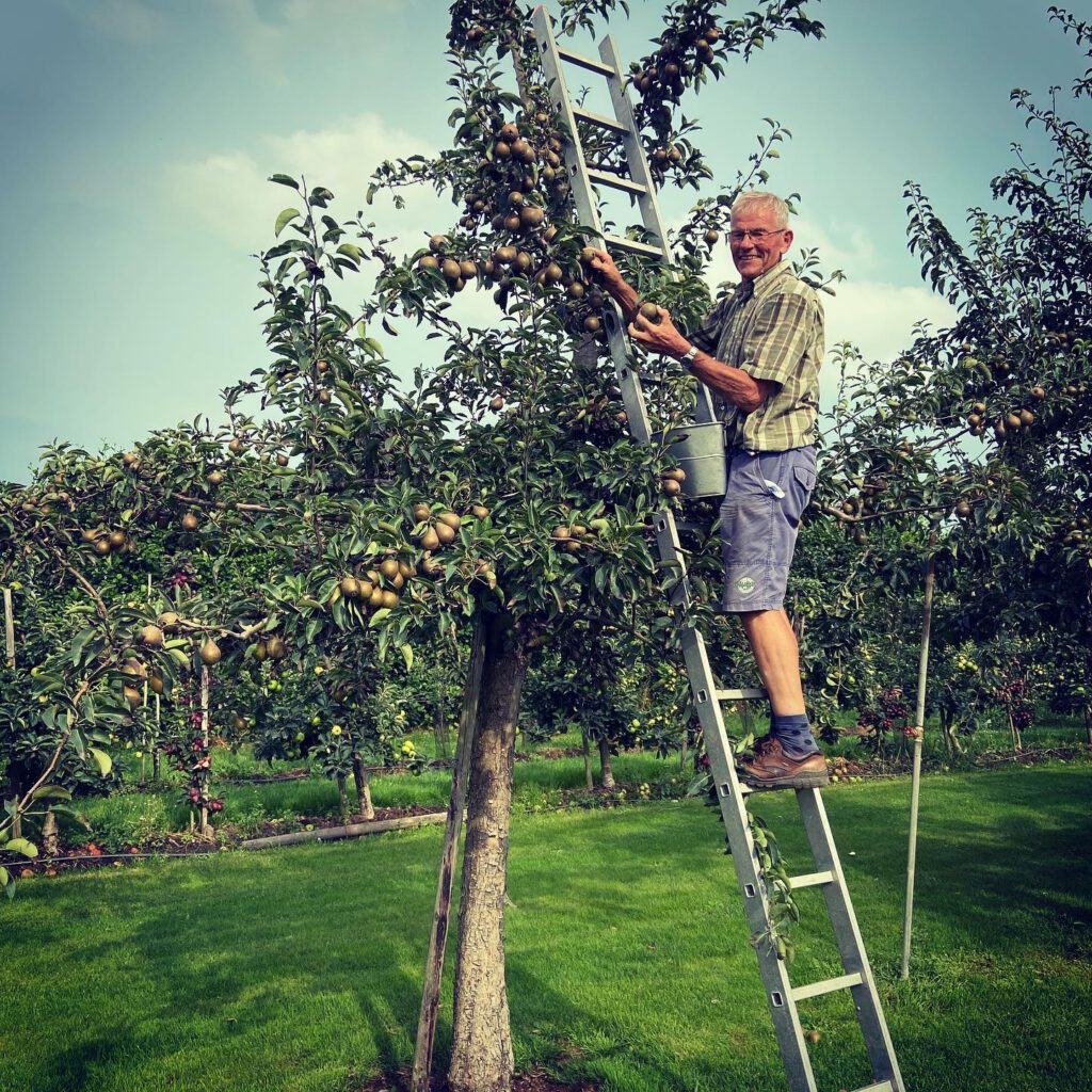 Appels - Oudebosch Fruit